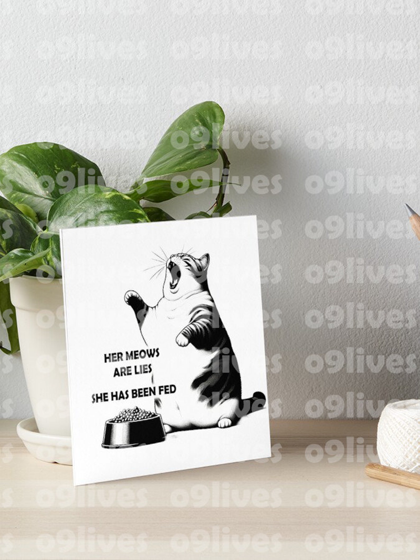 Fat Cat Begging Food Cat Overfeeding Meowing Food Hungry Cat Meows Are ...