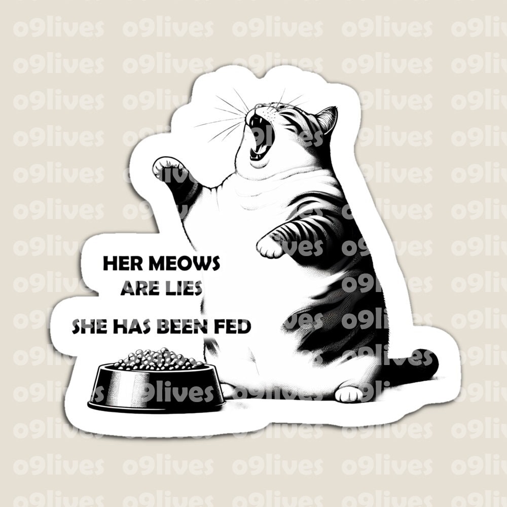 Fat Cat Begging Food Cat Overfeeding Meowing Food Hungry Cat Meows Are ...