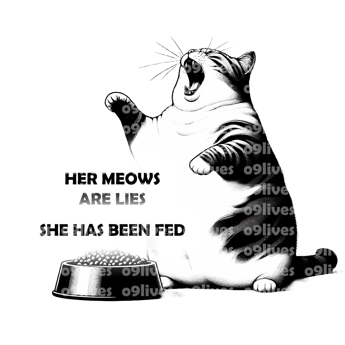 Fat Cat Begging Food Cat Overfeeding Meowing Food Hungry Cat Meows Are ...