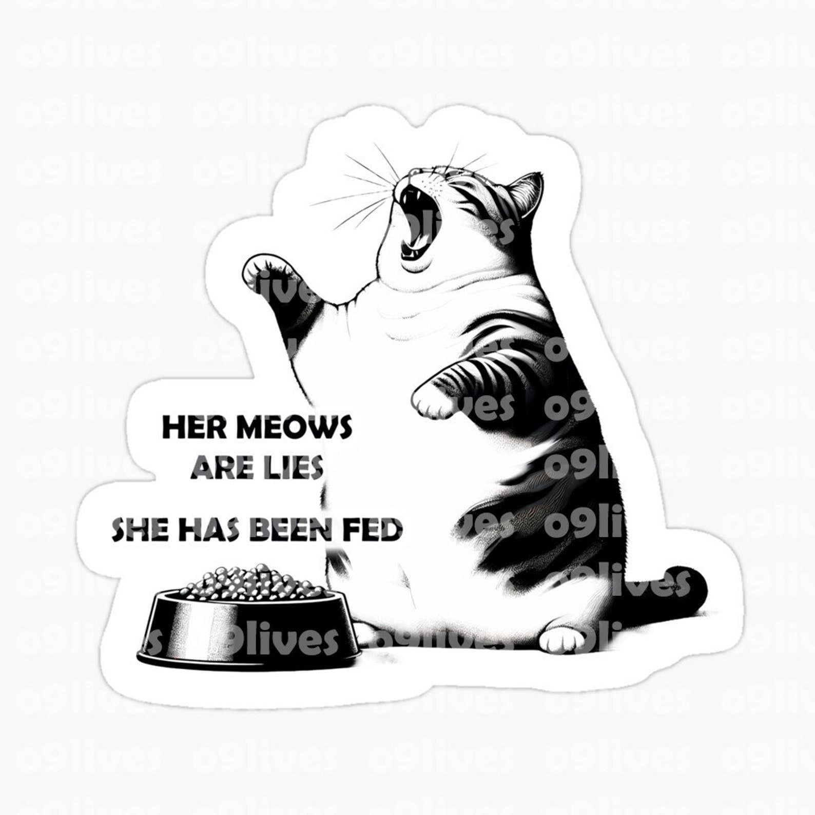 Fat Cat Begging Food Cat Overfeeding Meowing Food Hungry Cat Meows Are ...