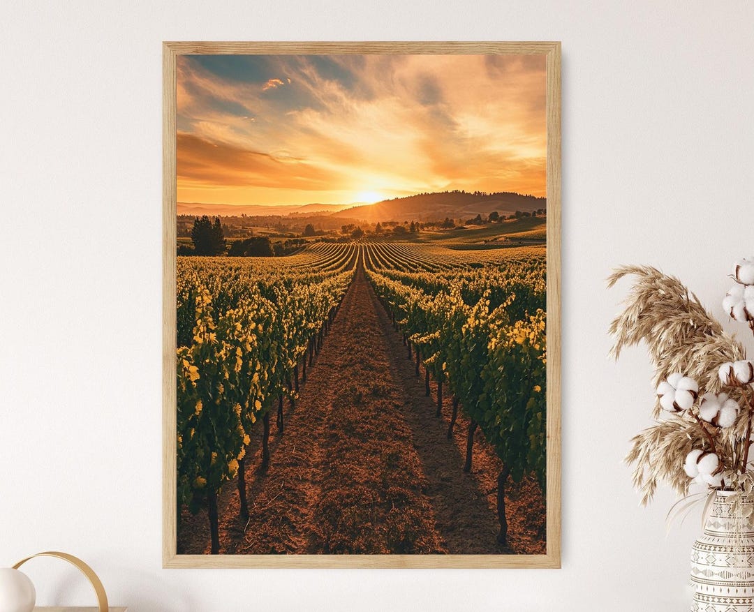 Napa Valley Vineyard Sunset Art Print, California Wine Country Scene - Etsy