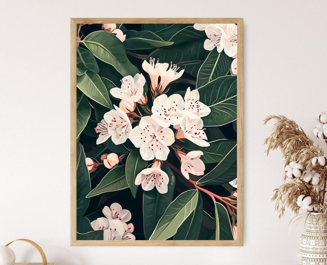 Connecticut Mountain Laurel Art Print, State Flower Illustration - Etsy