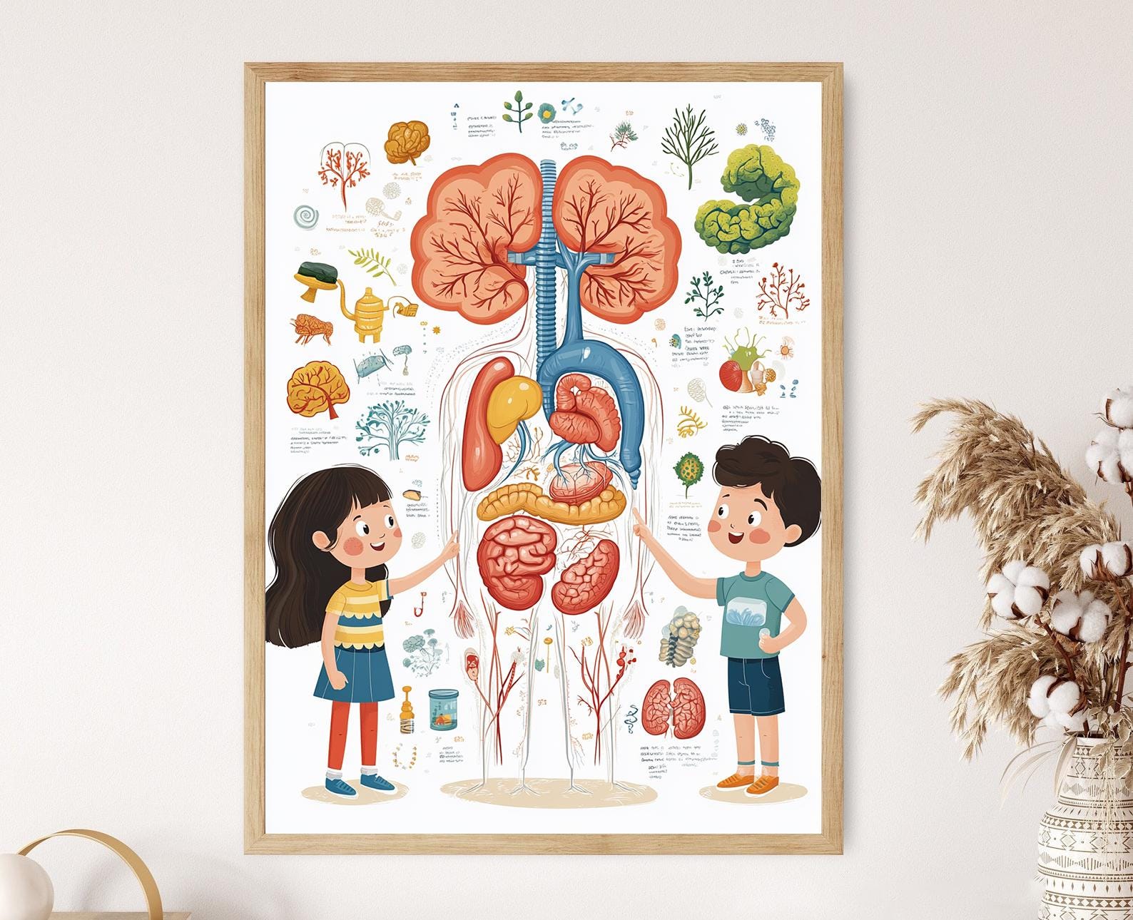 Human Body for Kids Illustration, Organ Diagram Art, Educational ...