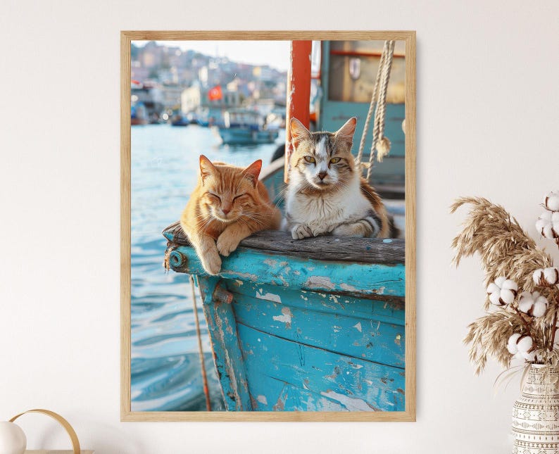 Istanbul Cats Art Print: Turkish Alley Cat Photo - Etsy