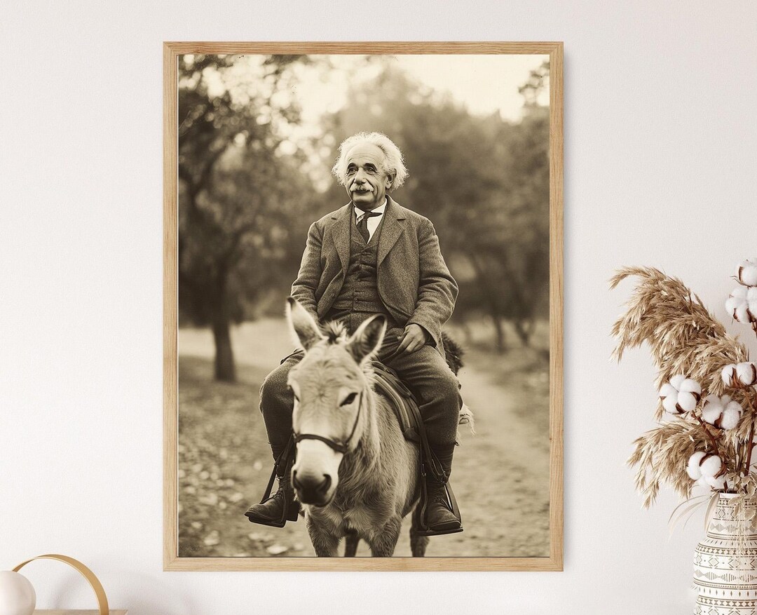 Albert Einstein Riding Donkey, Funny Vintage Photo Print - Etsy