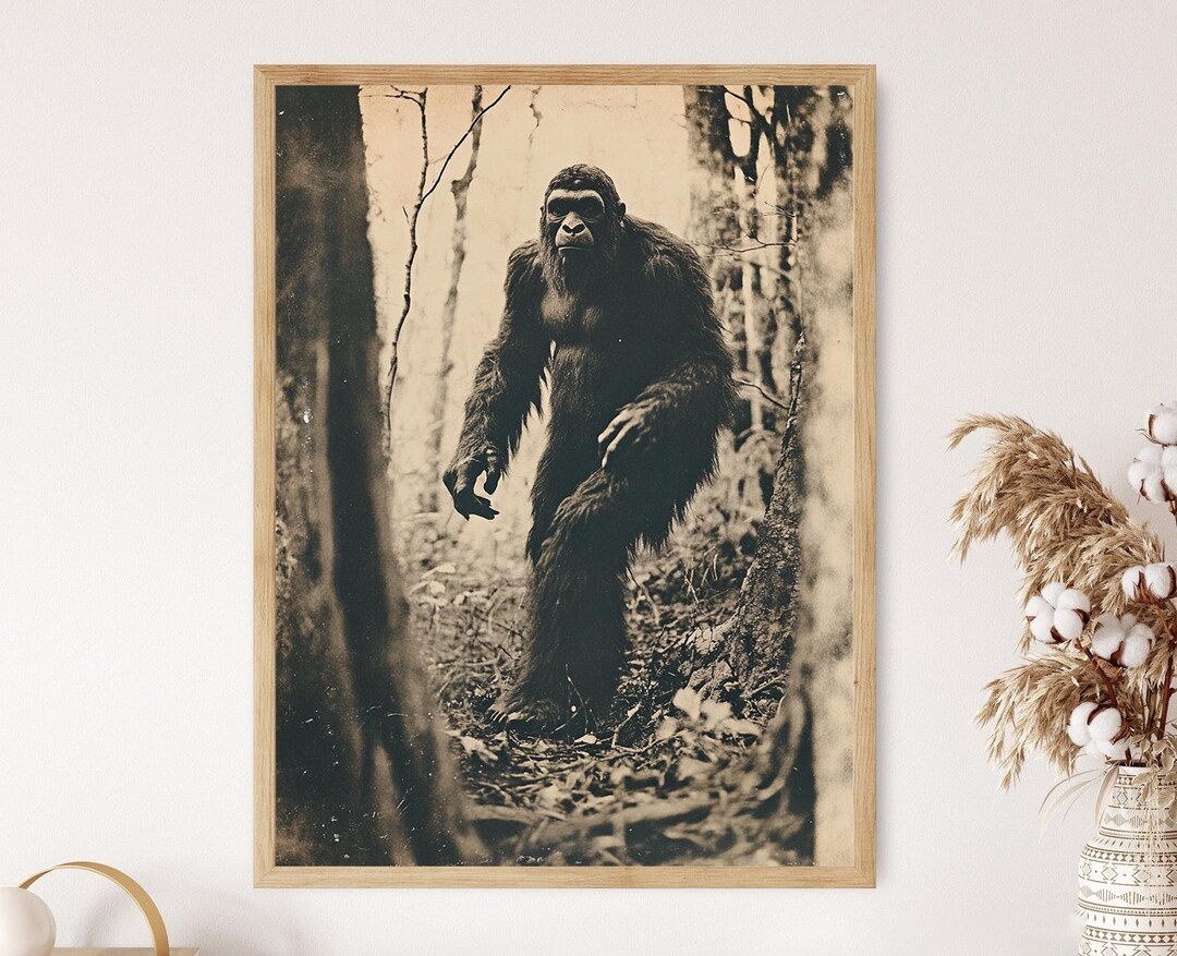 Old Fashioned Bigfoot Photograph, Rustic Sasquatch Wall Art, Vintage ...
