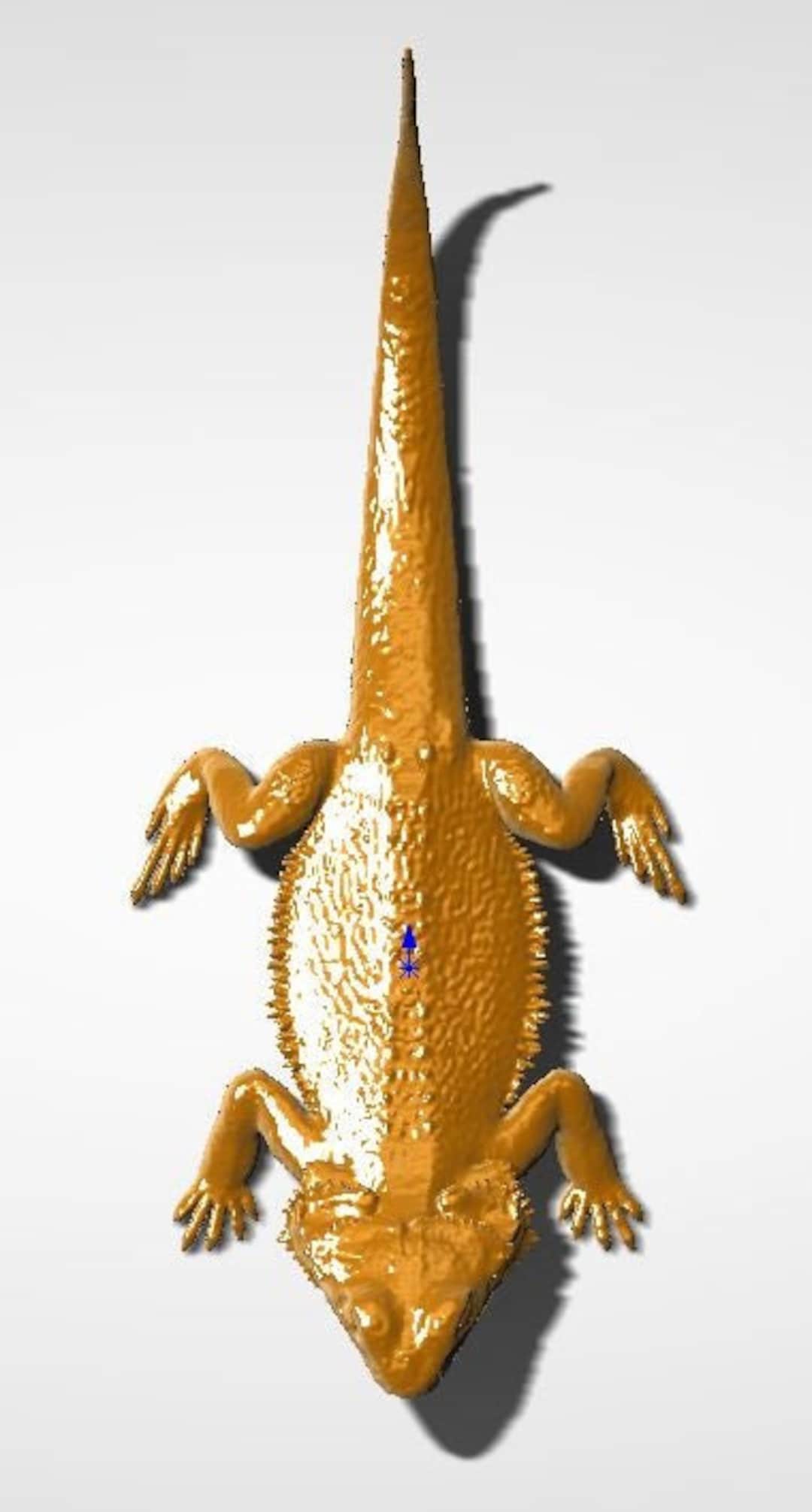 Bearded Dragon 3D Model STL File Detailed Reptile Design for 3D ...