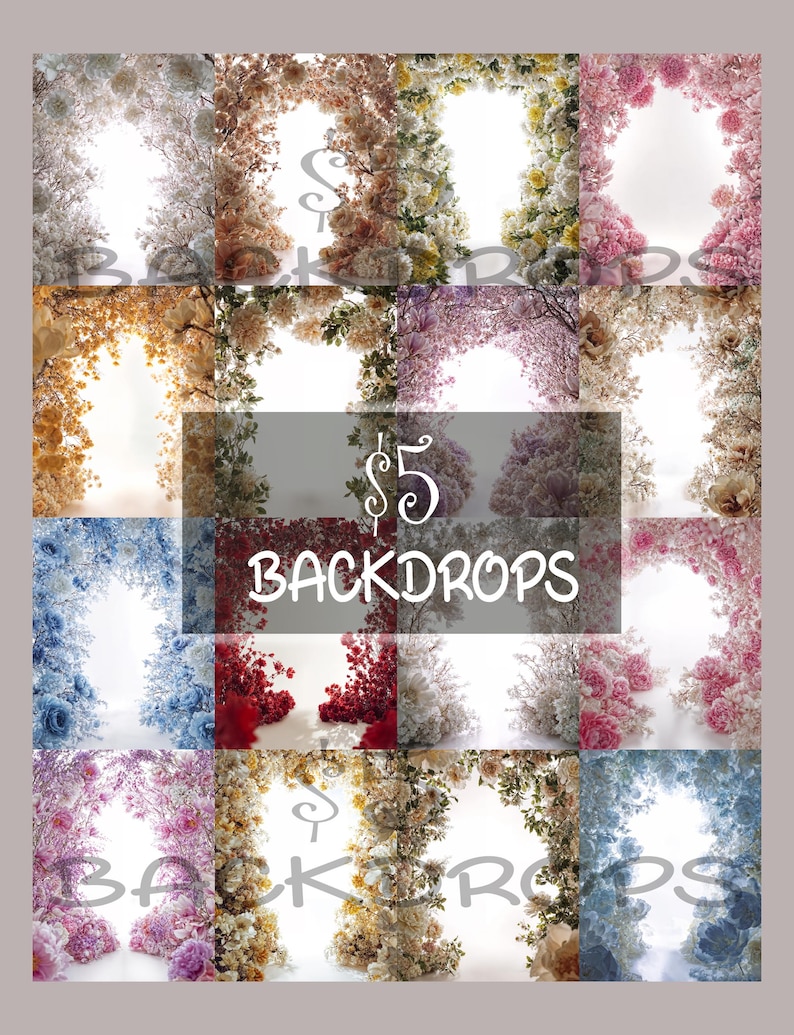 Backlit Frames Set Digital Backdrops, Maternity Backgrounds, Studio ...