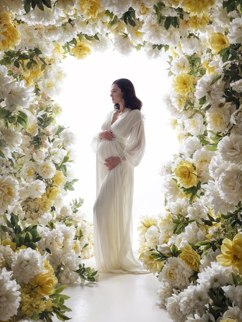 Backlit Frames Set Digital Backdrops, Maternity Backgrounds, Studio ...