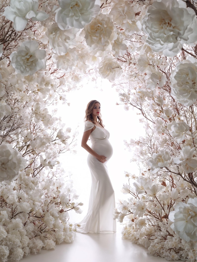 Backlit Frames Set Digital Backdrops, Maternity Backgrounds, Studio ...