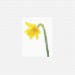 Single Daffodil - Mini Cross Stitch Pattern, Pixel Art, Small Tiny ...