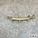 51 Longnose Gar Taxidermy Fish Mount Grade: Elite - Etsy