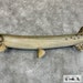 51 Longnose Gar Taxidermy Fish Mount Grade: Elite - Etsy