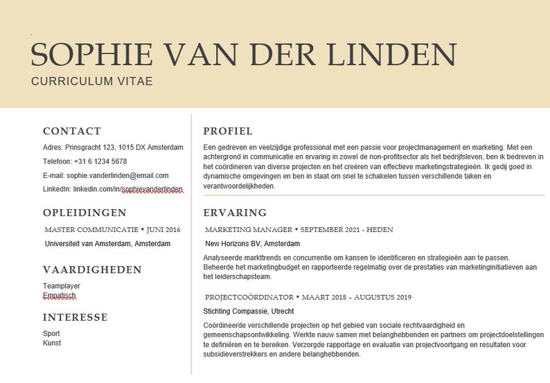 CV, Template, Layout, Curriculum Vitae, Printable, Dutch NL, Direct ...
