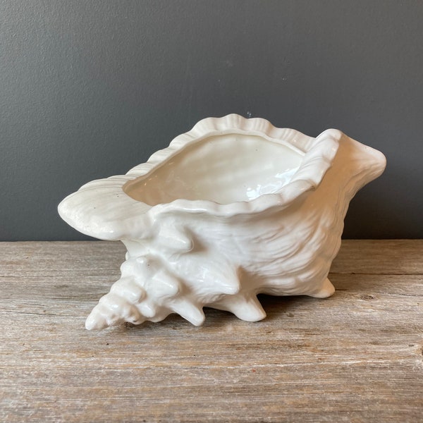 Clam Shell Planter - Etsy