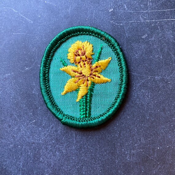 1960s and 1970s Girl Scout Troop Crest Badges - Singl… - Gem