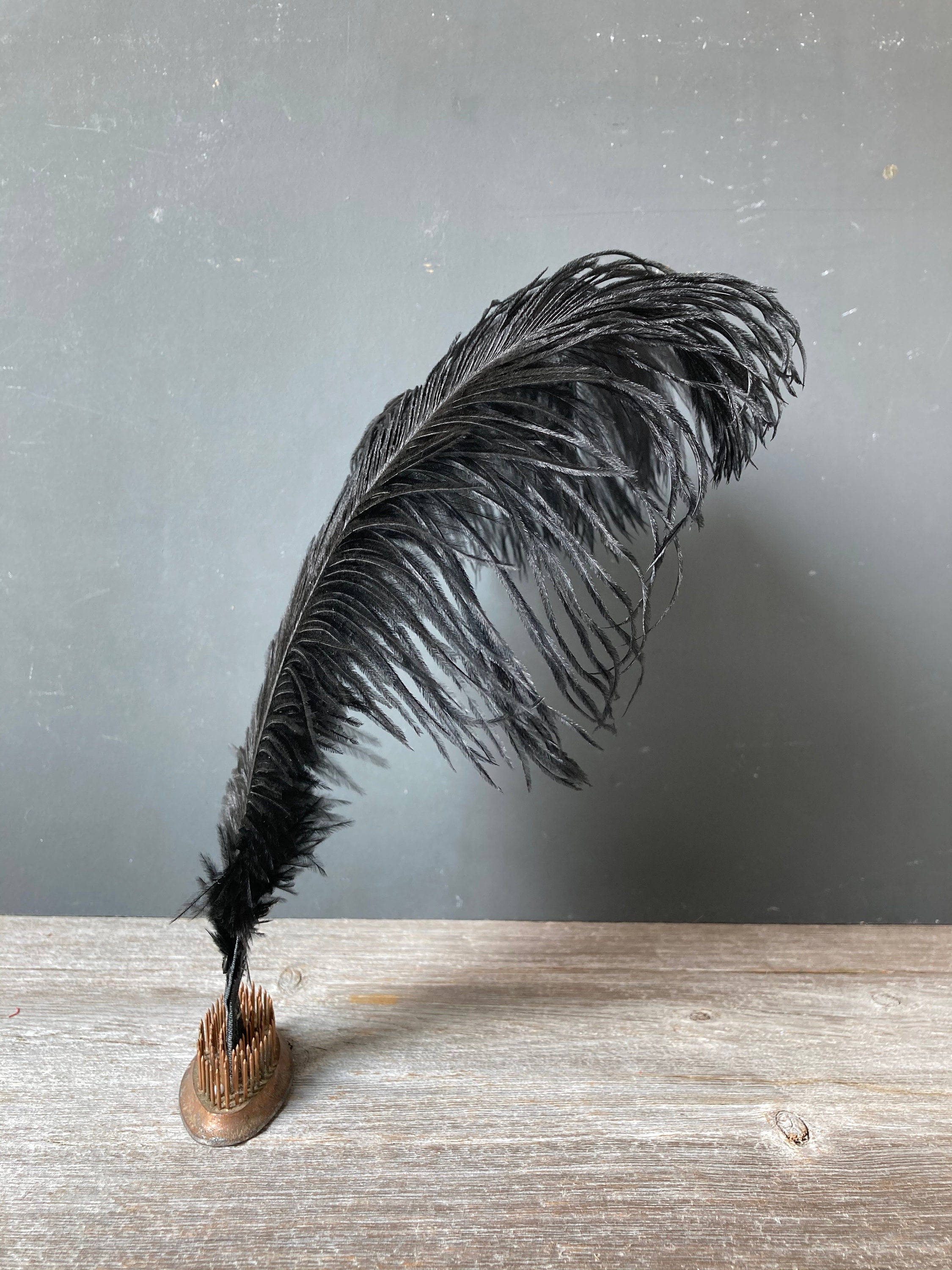 Sorprendentemente hermosa pluma de avestruz victoriana | Etsy