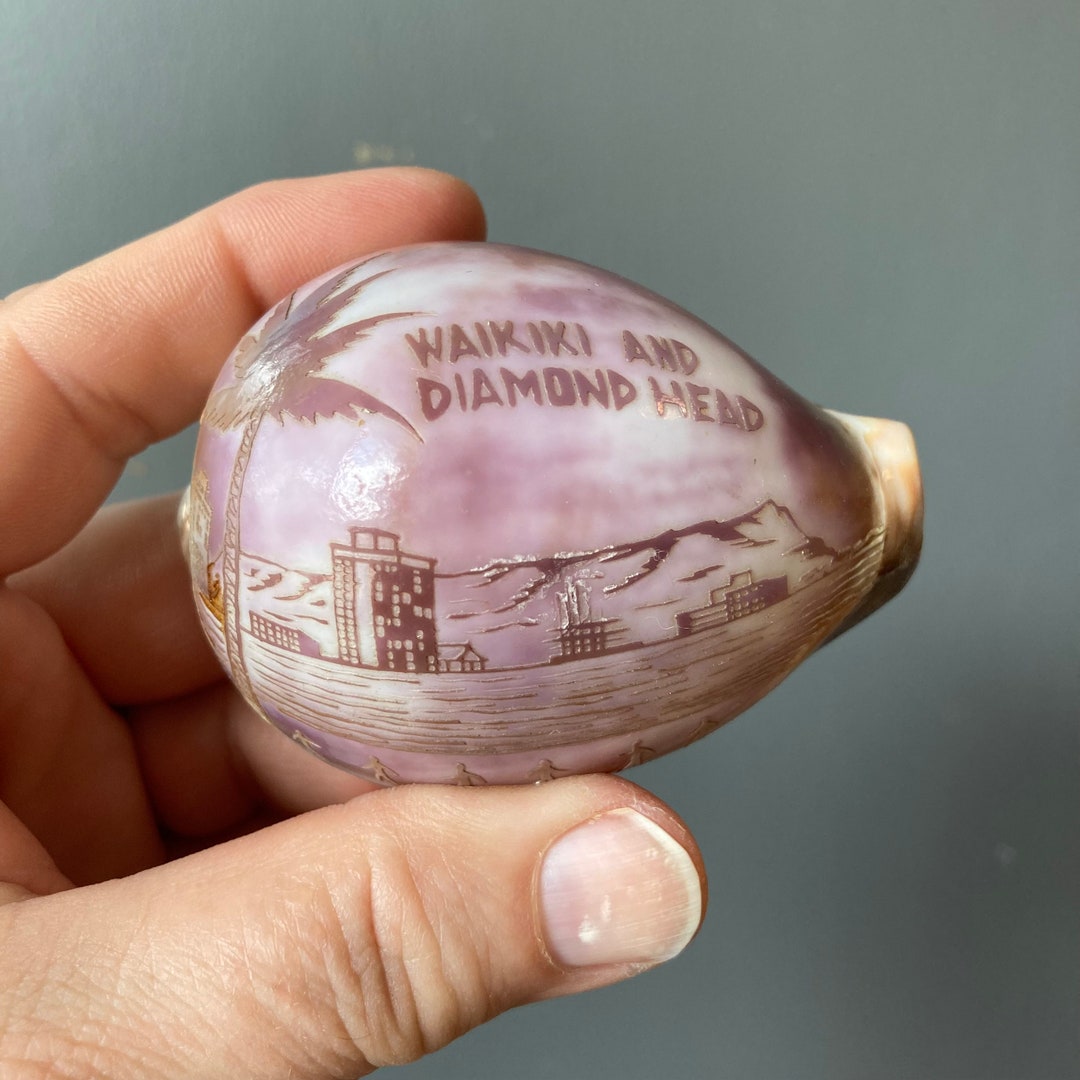 Vintage Carved Cowrie Shell - Diamond Head Hawaii Souvenir - Etsy
