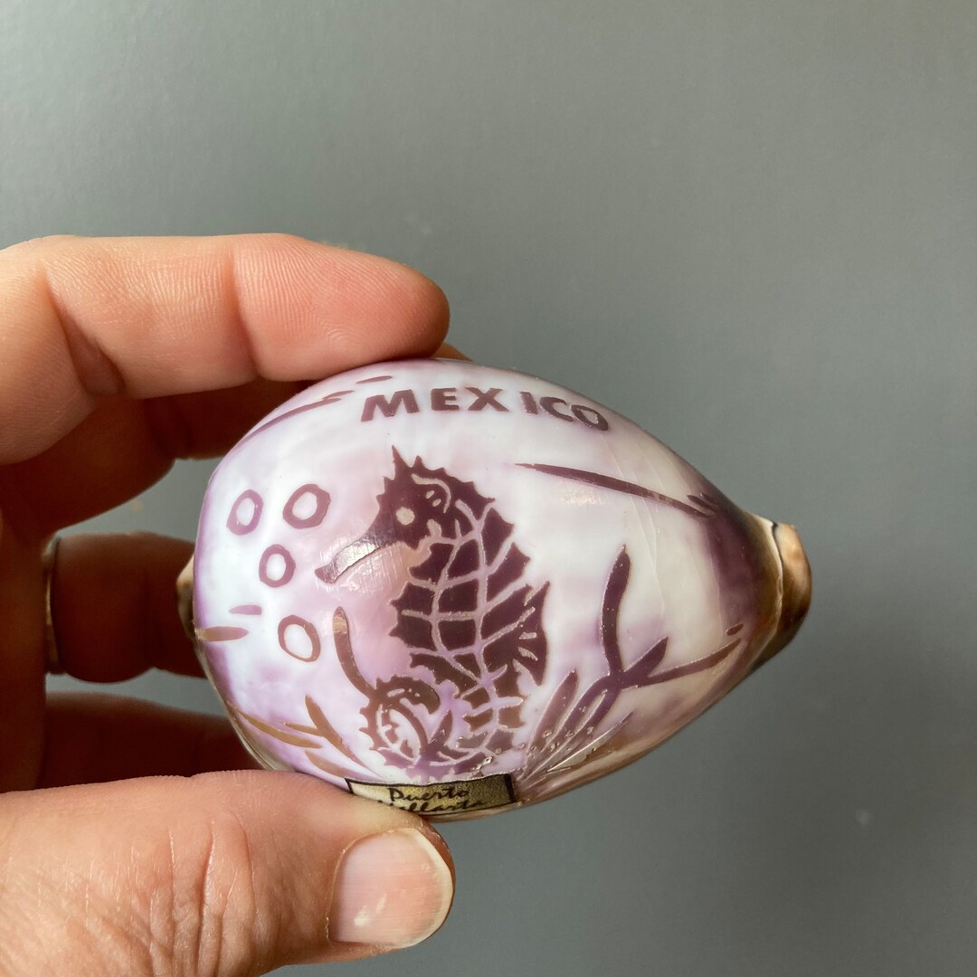 Vintage Carved Cowrie Shell - Mexico Puerto Vallarta Souvenir - Etsy