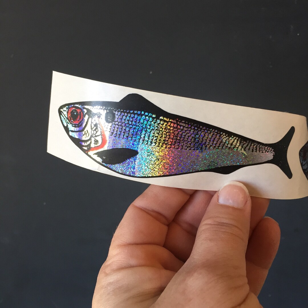 Set of 3 Metallic Rainbow Fish Stickers - Shad Stickers - Etsy