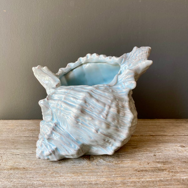 Conch Shell Planter - Etsy
