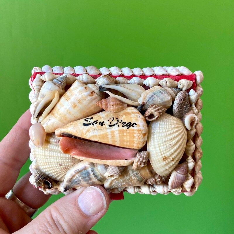 Shell Souvenirs - Etsy