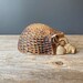 Vintage Art Pottery Hedgehog Exmoor England - Etsy