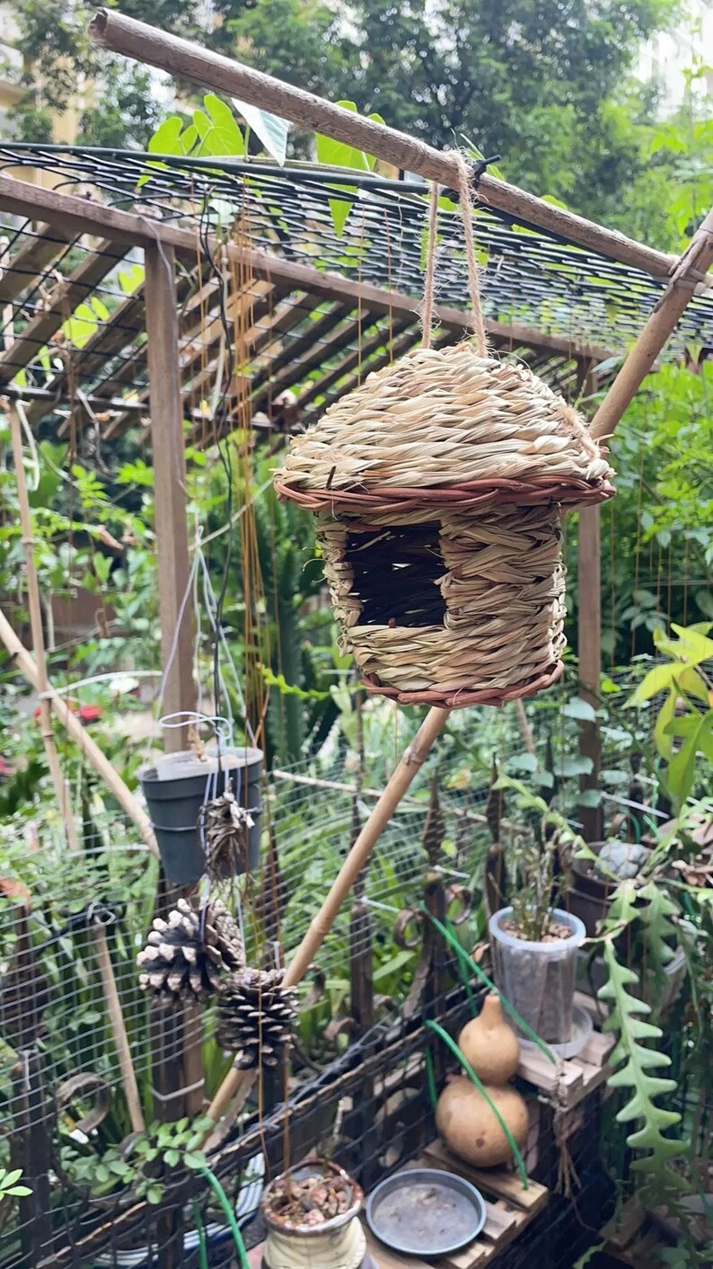 Hand Woven Natural Bird's Nest Decoration. - Etsy