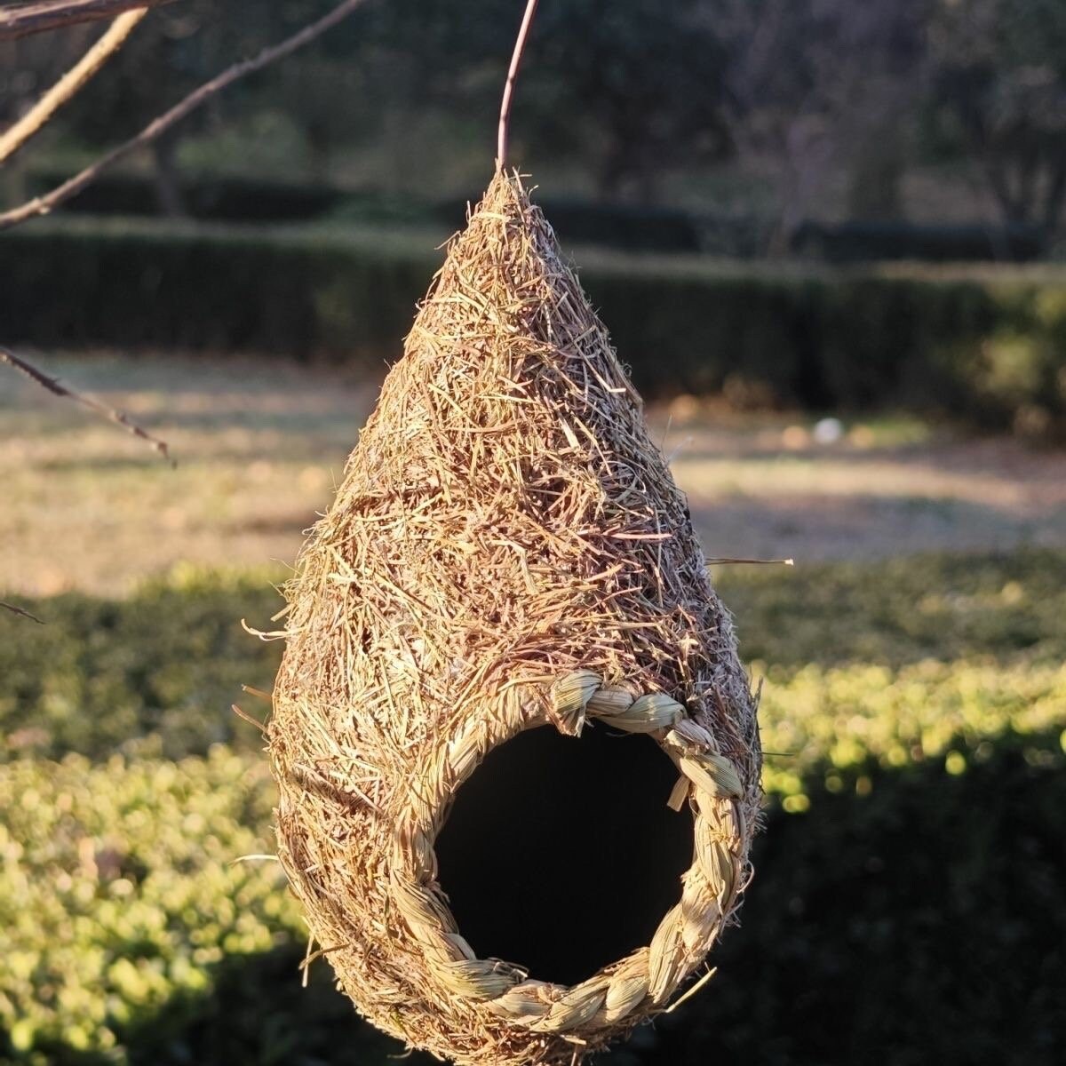 Hand Woven Natural Bird's Nest Decoration. - Etsy