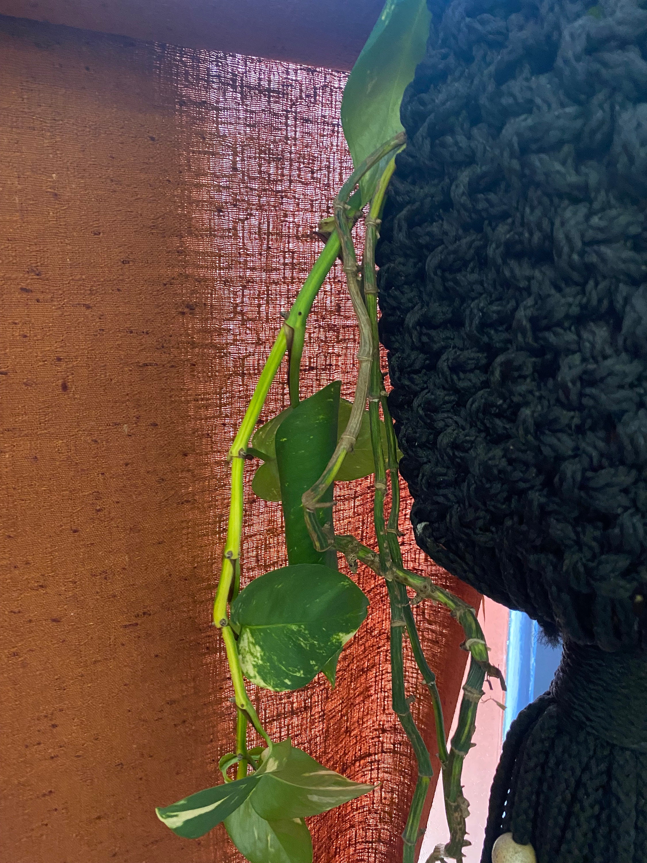 Vintage 1960s-70s MCM Rust Brick Cotton Drapery Fabric 47 Wide BTY - Etsy