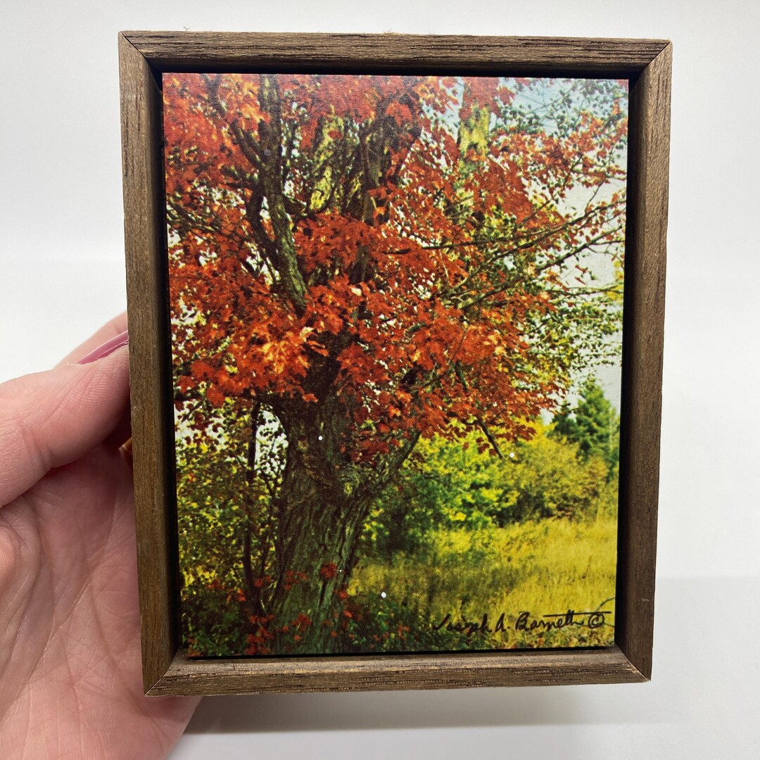 Vintage Joseph A Barnett Framed Tree Print-maple Red Fall Trees-circa ...