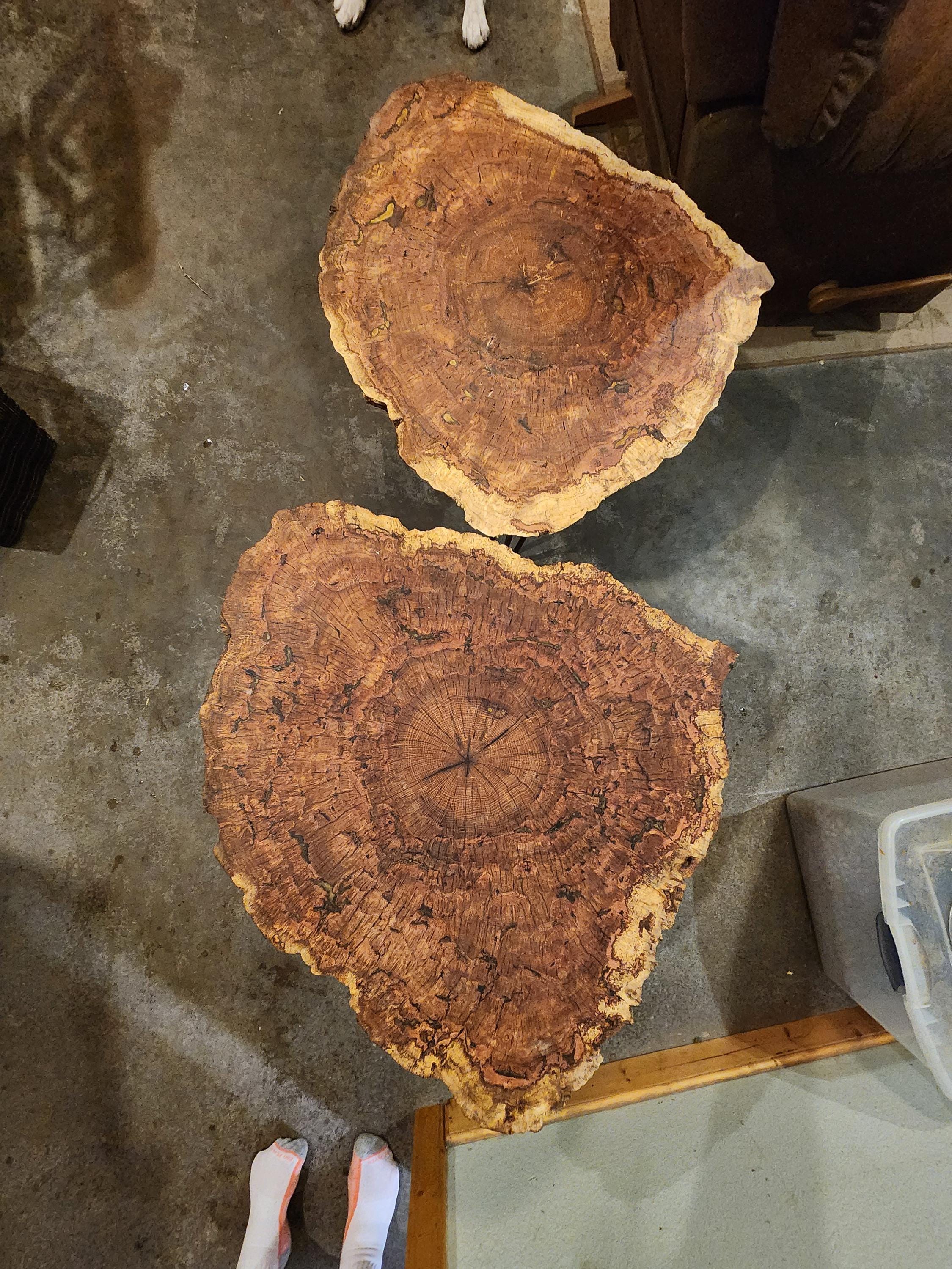 Oak Burl Slab Tables - Etsy