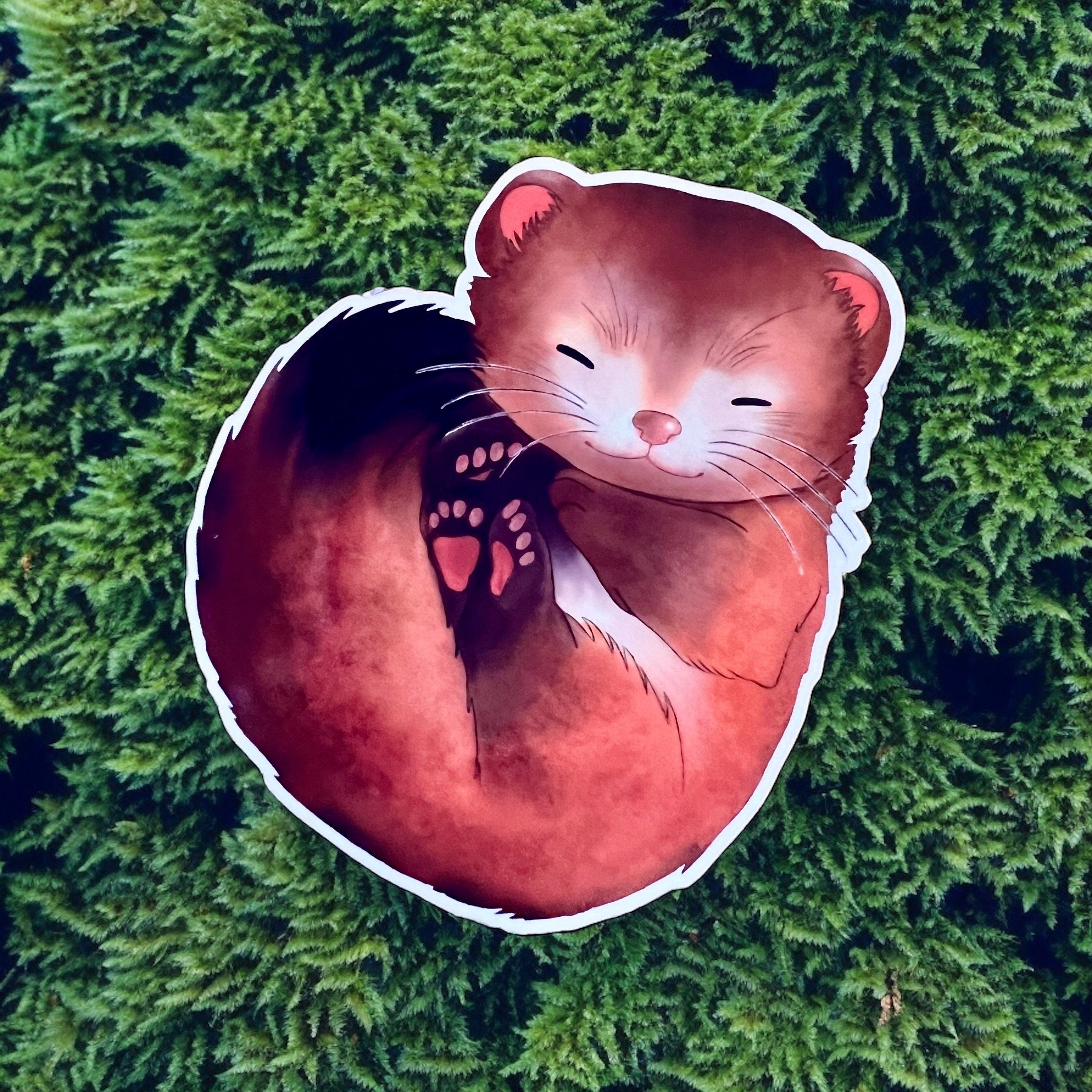 Adorable Ferret Vinyl Sticker, Ferret Art Decal, Animal Lovers, Pets - Etsy