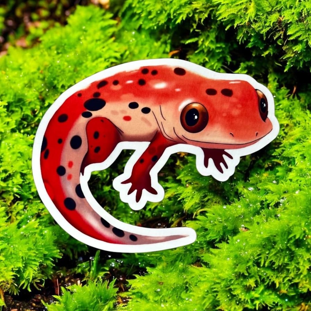 Quirky Spotted Salamander Sticker, Cute Amphibian Decal, Herpetology ...