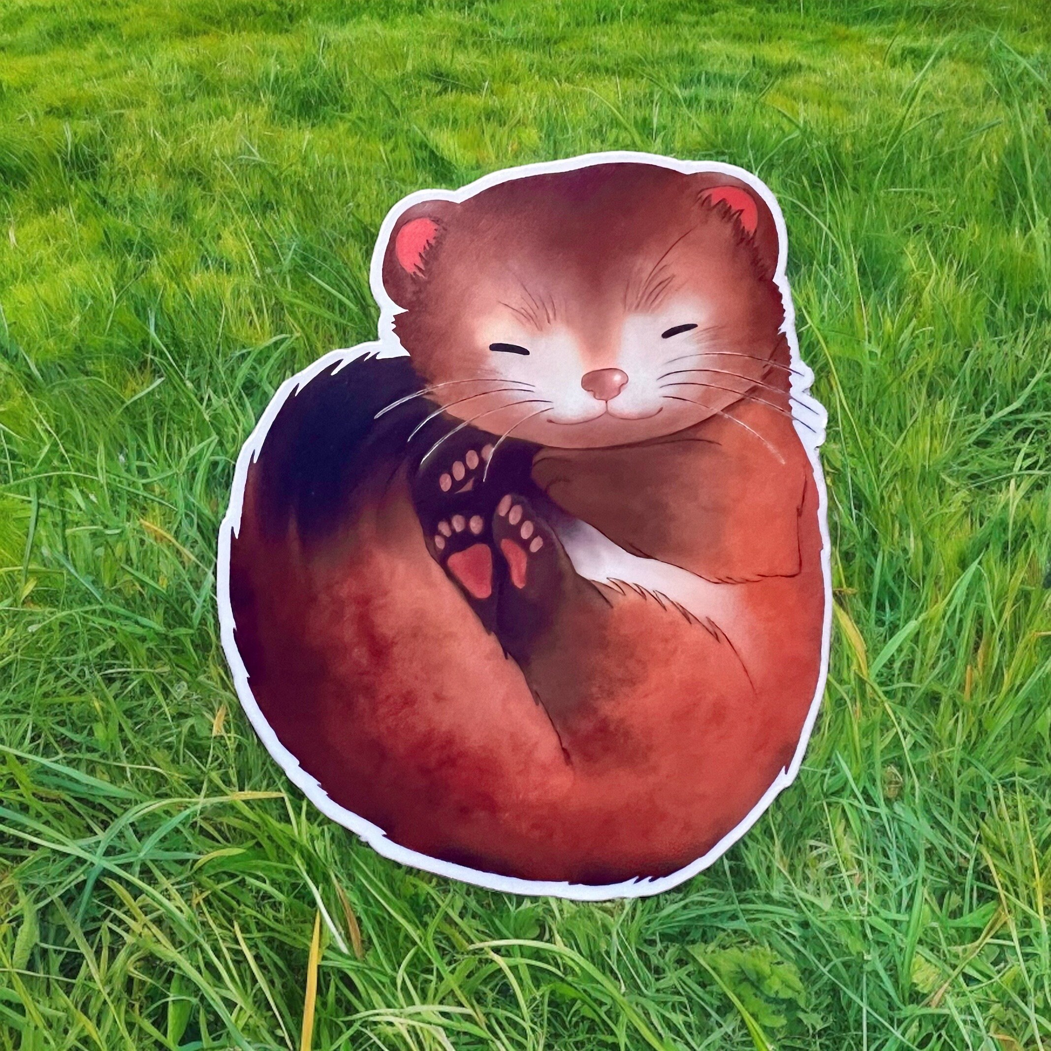 Adorable Ferret Vinyl Sticker, Ferret Art Decal, Animal Lovers, Pets - Etsy