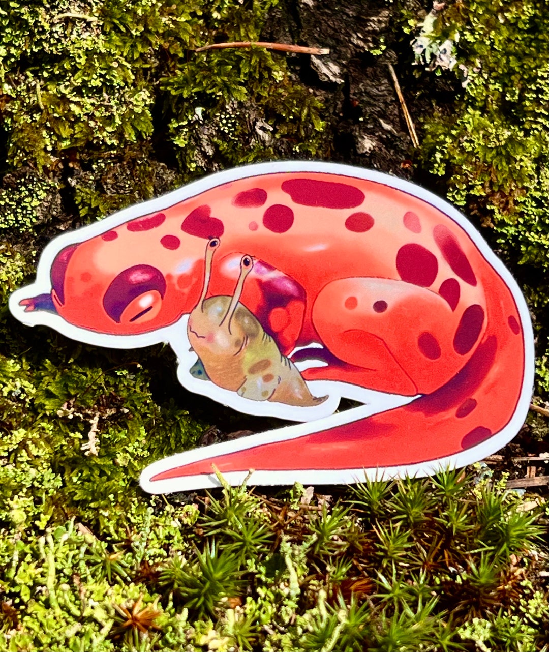 Adorable Salamander and Slug Vinyl Sticker, Glossy or Holographic Decal ...