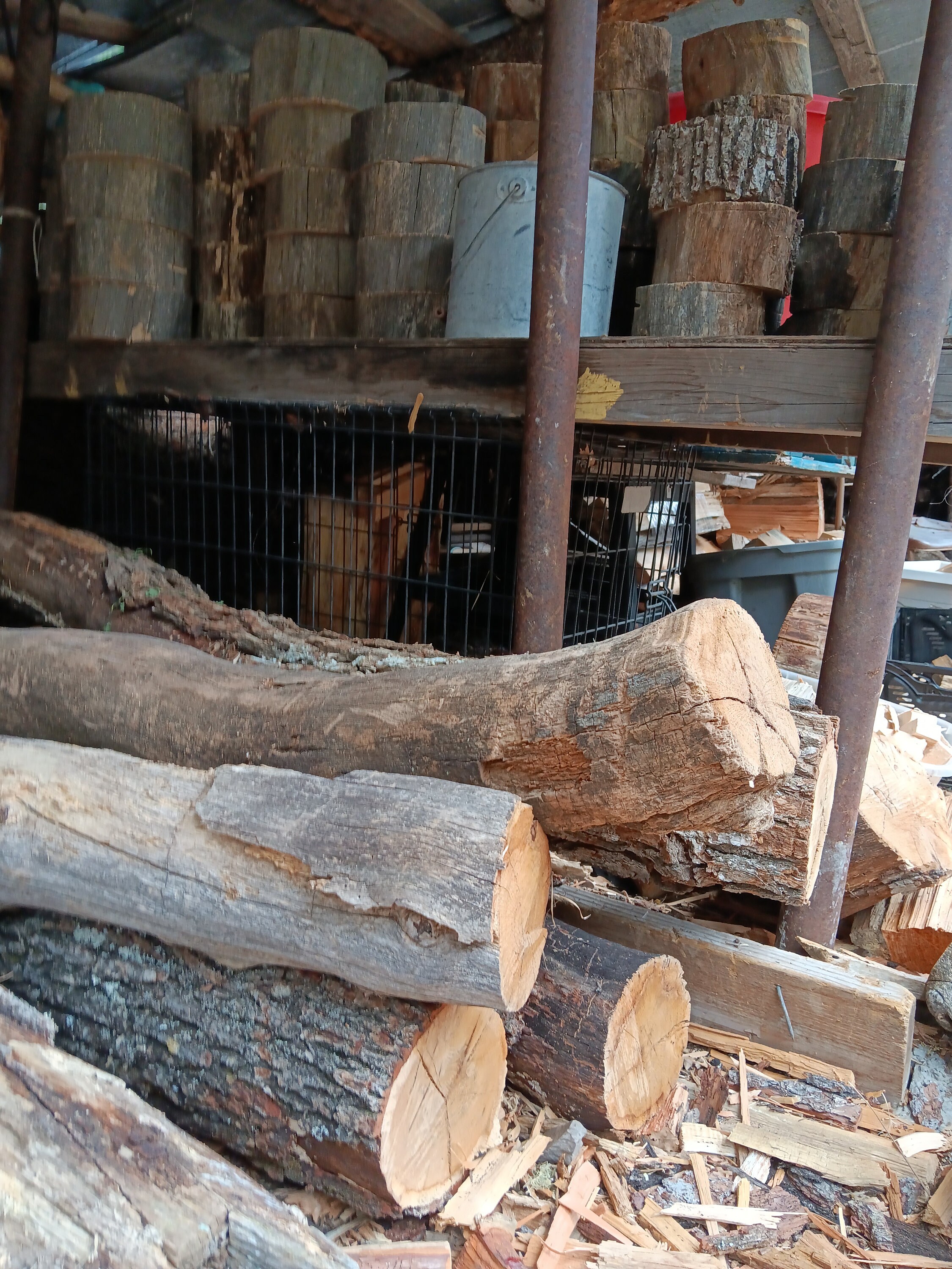 Oak Log Stumps large Set of 4 Oak Wood Decorations Rustic Wedding ...