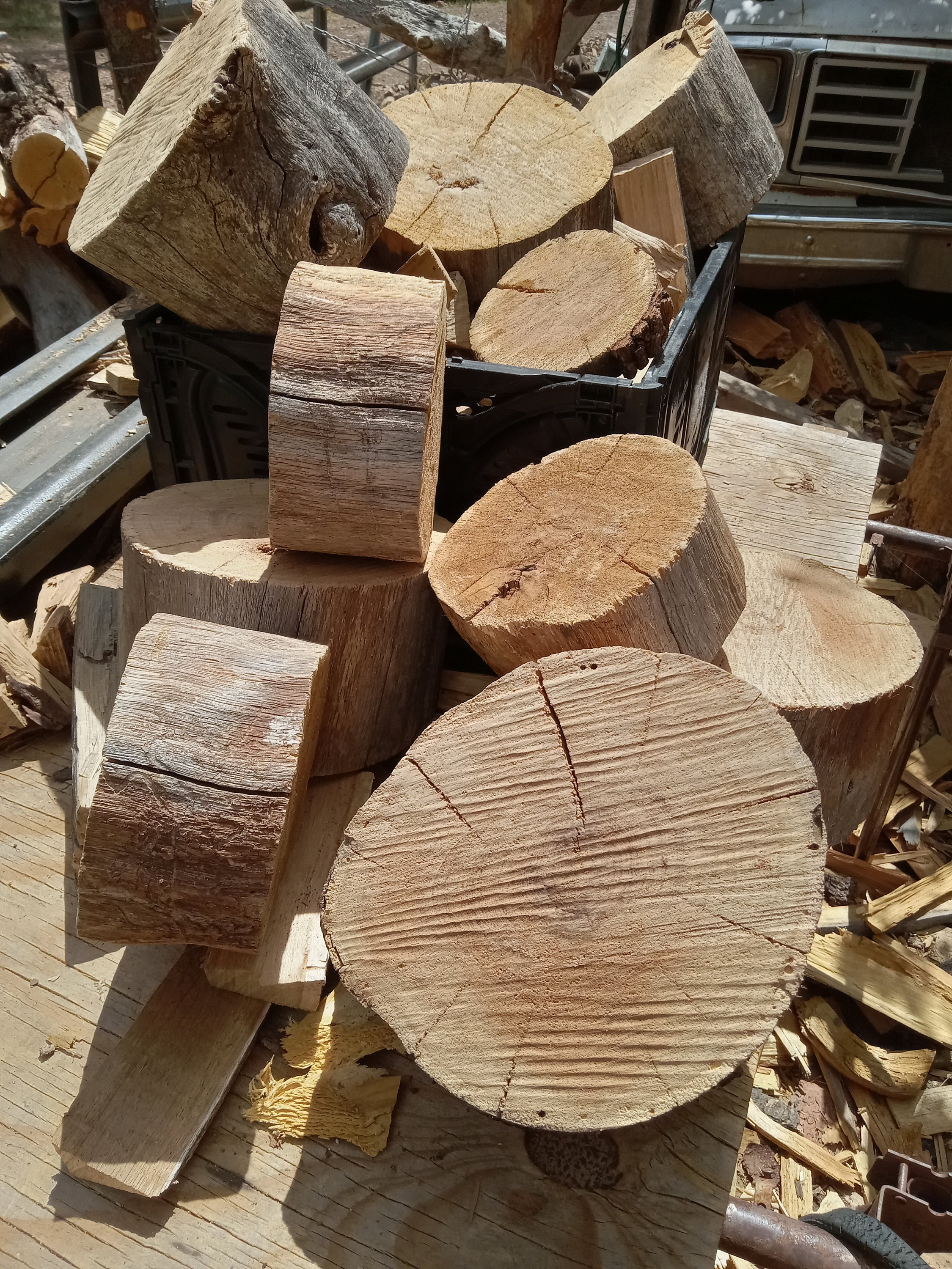 Oak Log Stumps large Set of 4 Oak Wood Decorations Rustic Wedding ...