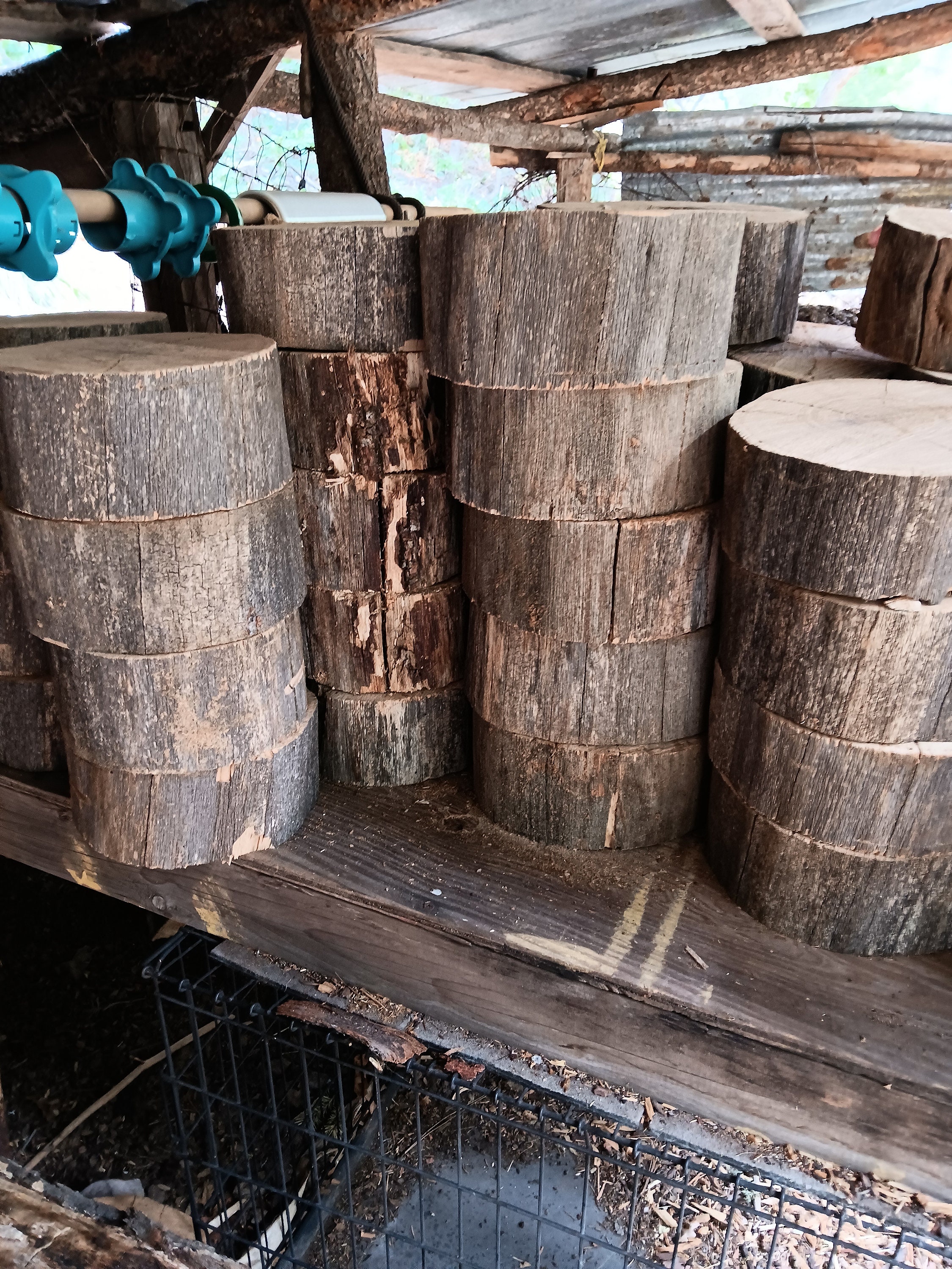 Oak Log Stumps large Set of 4 Oak Wood Decorations Rustic Wedding ...