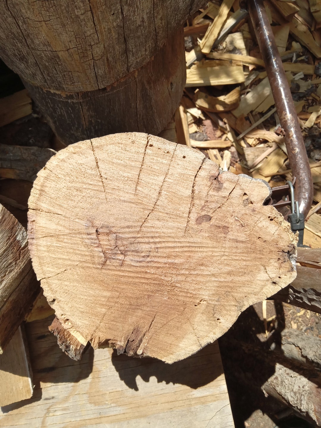 Oak Log Stumps -large Set of 4 - Oak Wood Decorations- Rustic Wedding ...