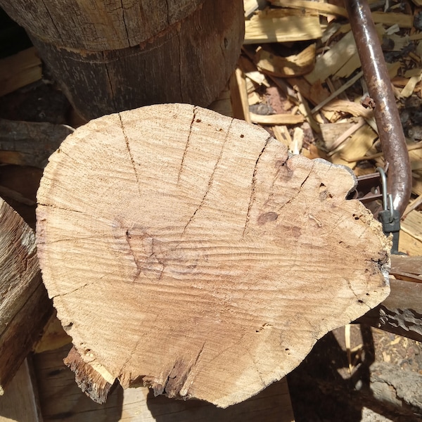 Wood Log Table Decorations - Etsy
