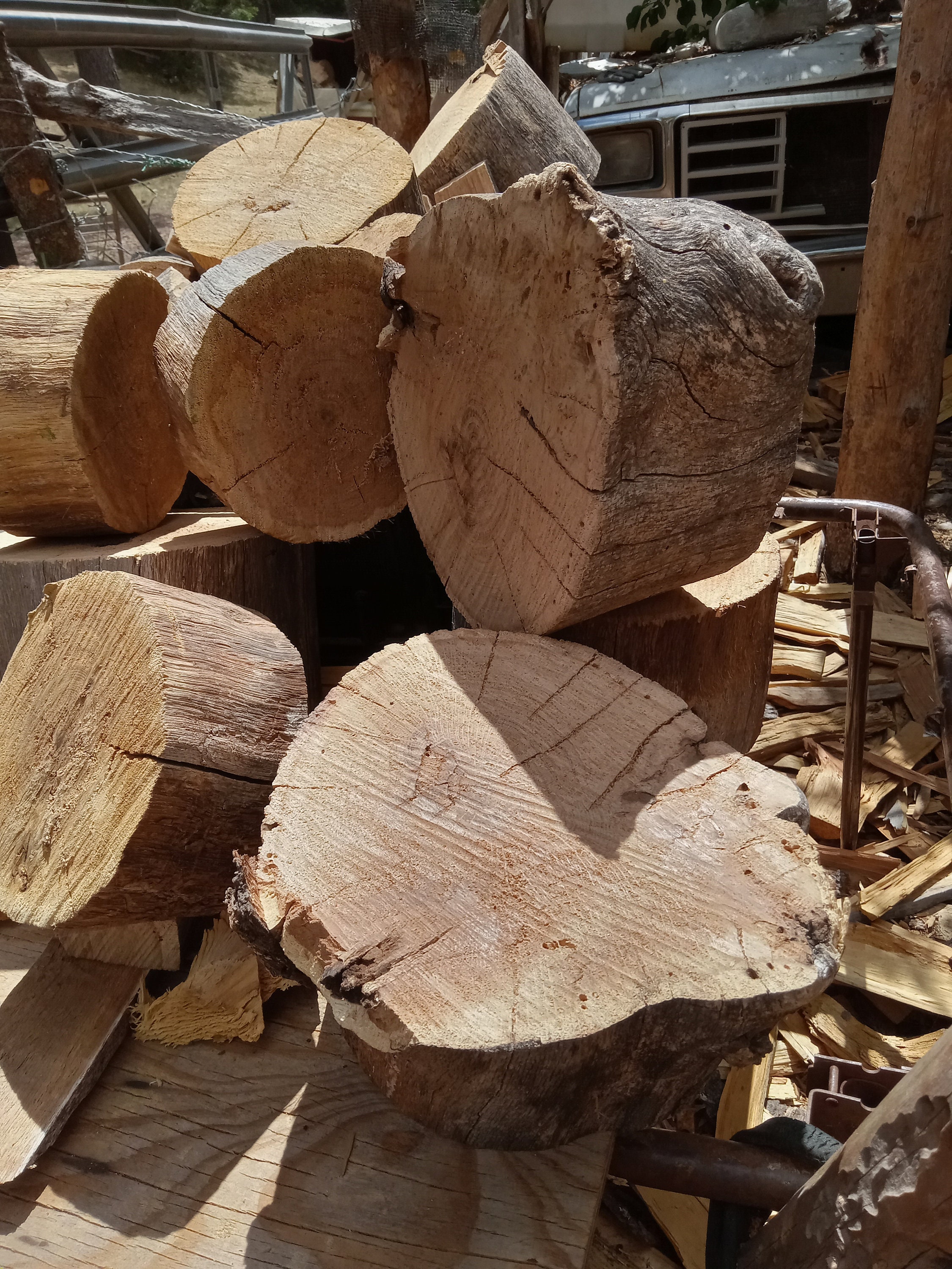 Oak Log Stumps large Set of 4 Oak Wood Decorations Rustic Wedding ...