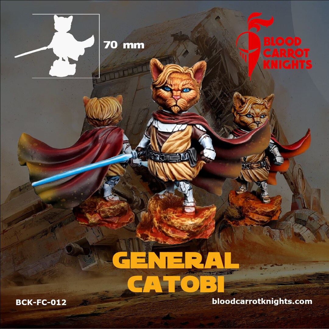 General Catobi Jedi Cat Knight Figure 54mm Scale Resin Miniature - Etsy