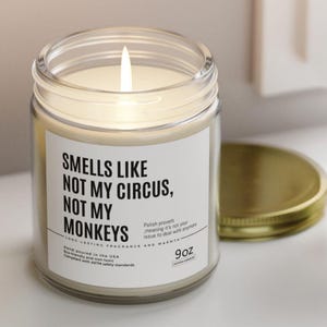 Smells Like Candles, Not My Circus Not My Monkeys, Smells Like Its Not ...