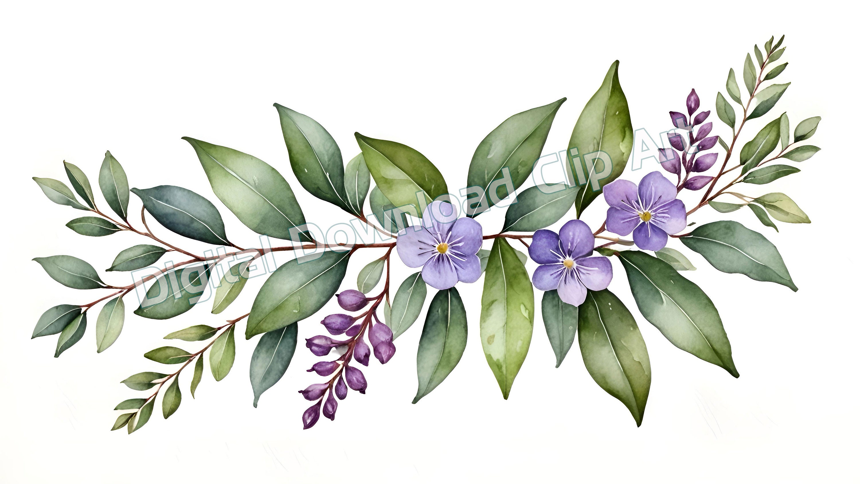 Beautiful Eucalyptus Purple Flower Clipart Attractive Watercolor ...
