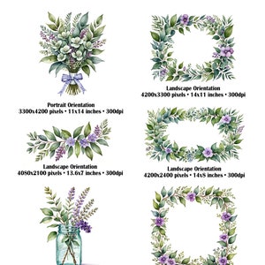 Beautiful Eucalyptus Purple Flower Clipart Attractive Watercolor ...