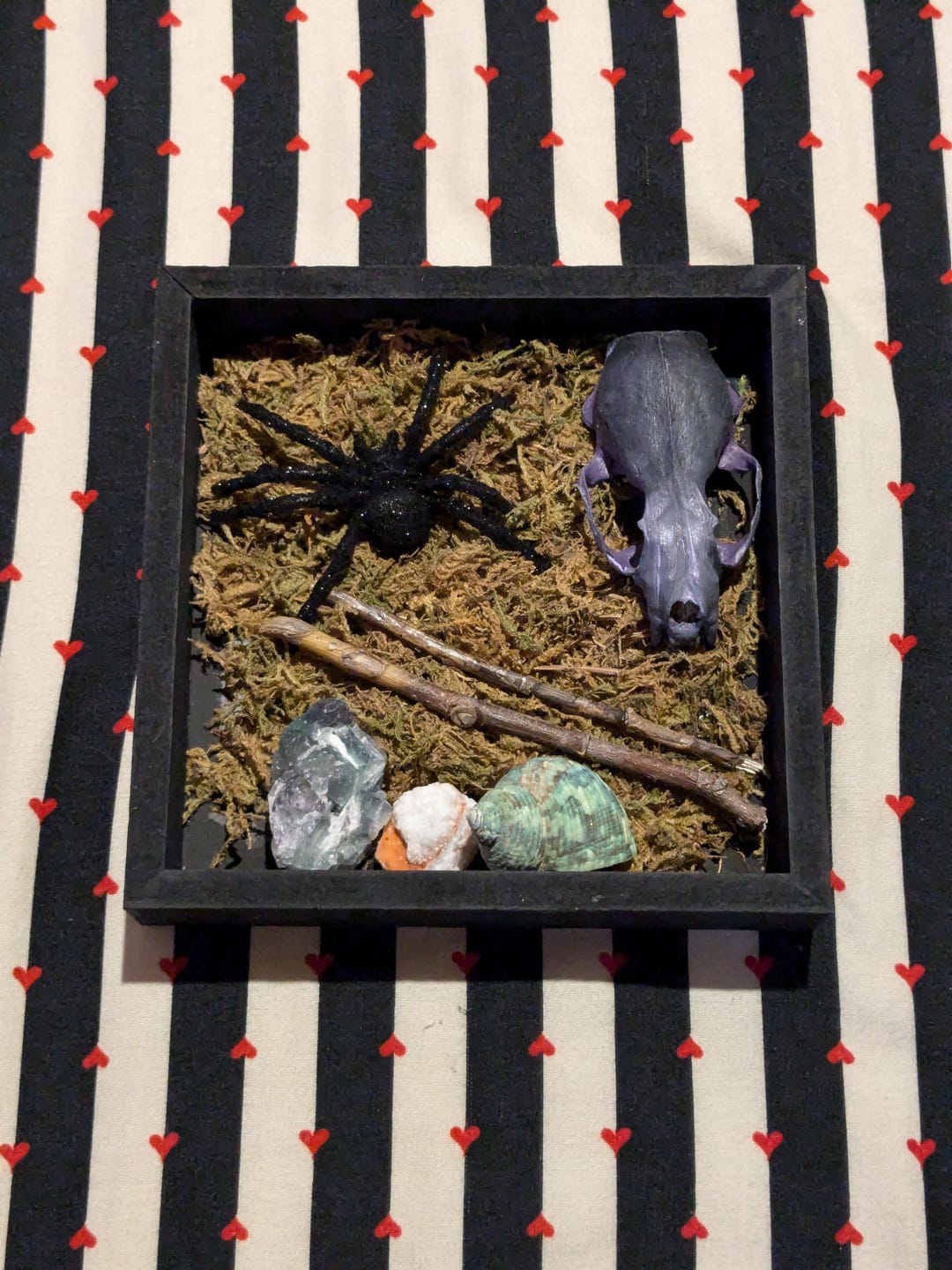 Real Mink Skull, Shadow Box, Halloween Decor, Crystal, Wall Decor ...