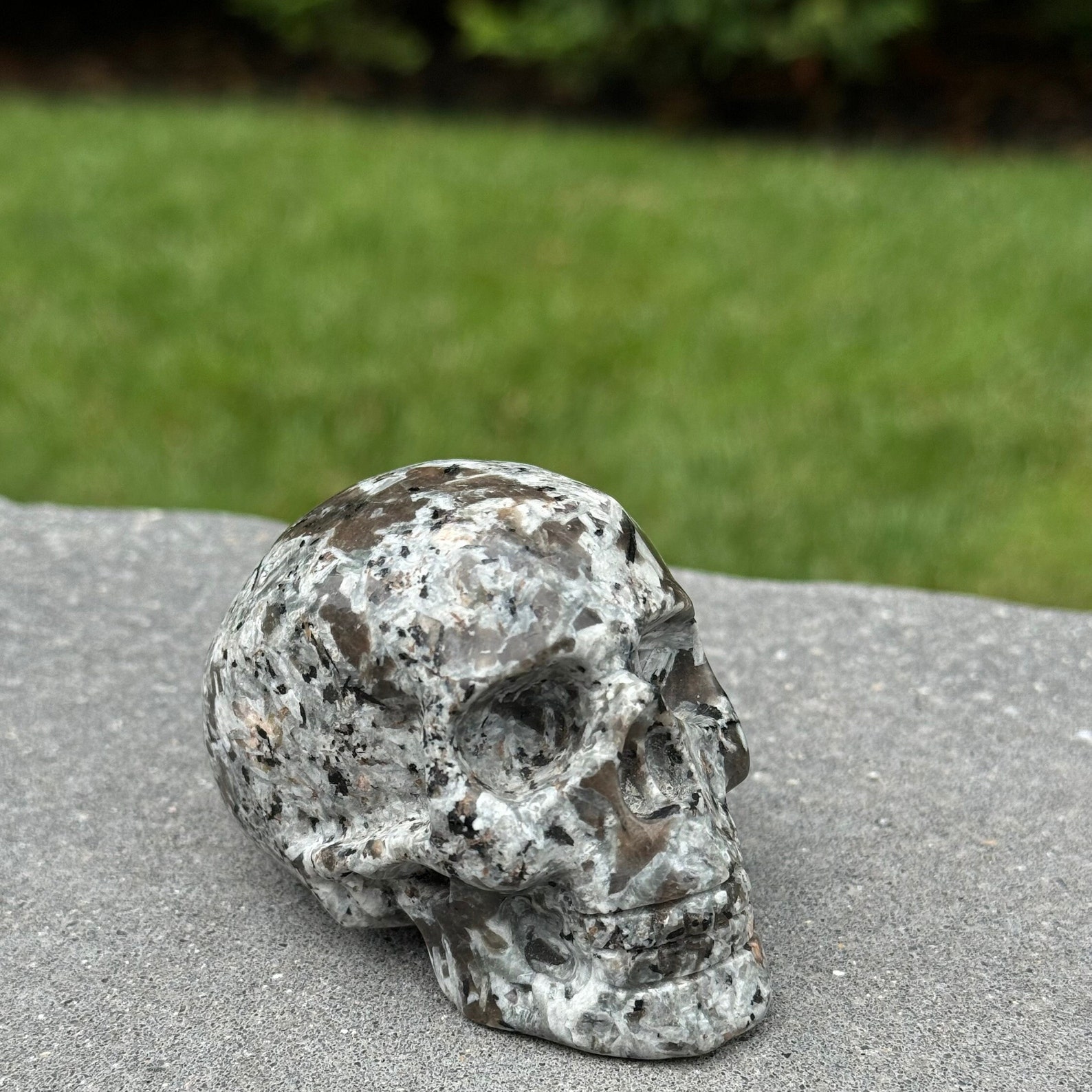 Natural 3 Yooperlite Crystal Hand Carved Skull Carving, UV Reactive ...