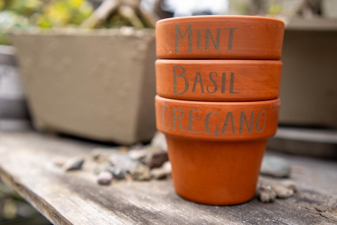 Custom Engraved Mini Terracotta Clay Pots - Personalized Text on Rim - Etsy