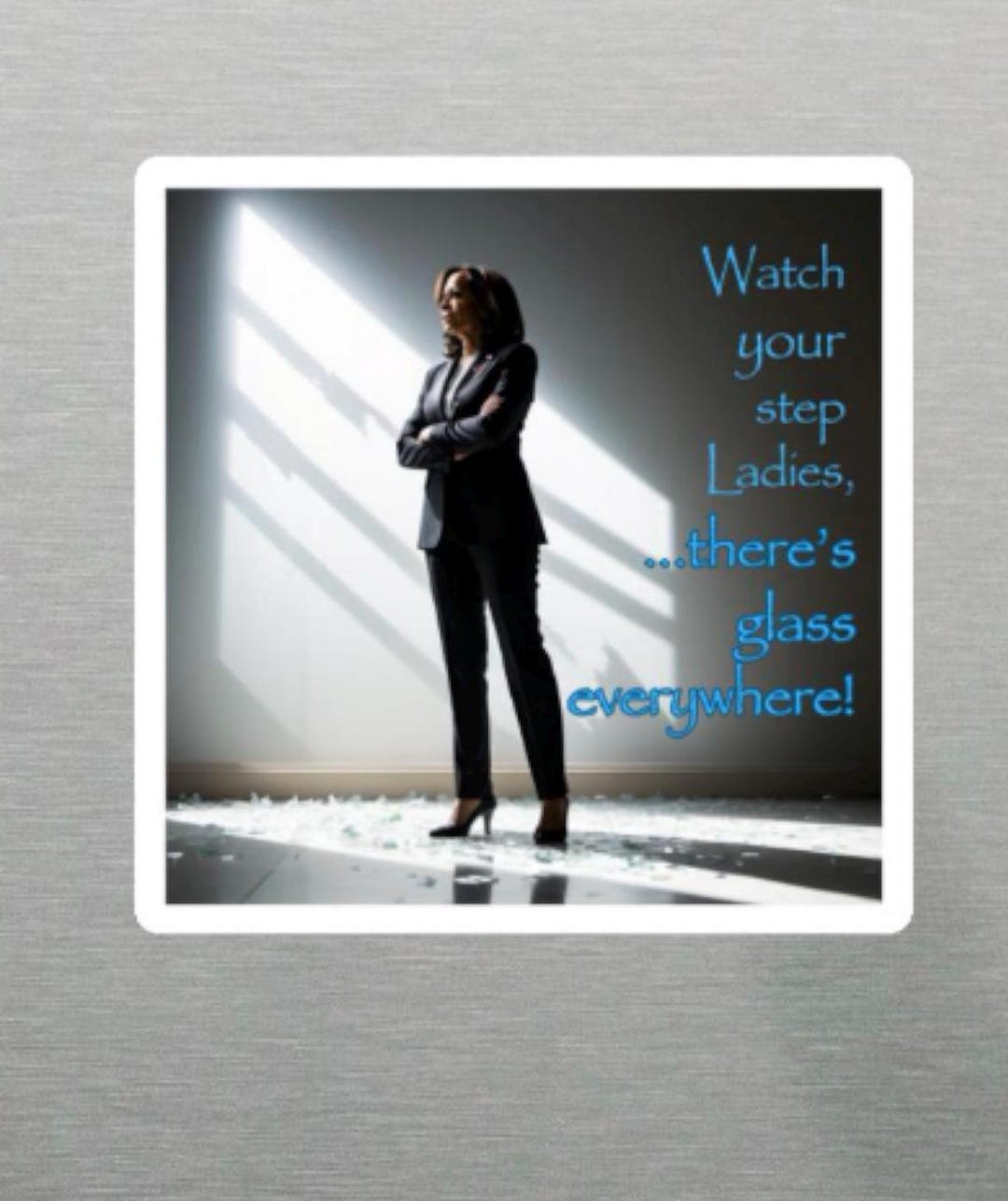 Watch Your Step Ladies Theres Glass Everywhere Magnet Refrigerator Car ...